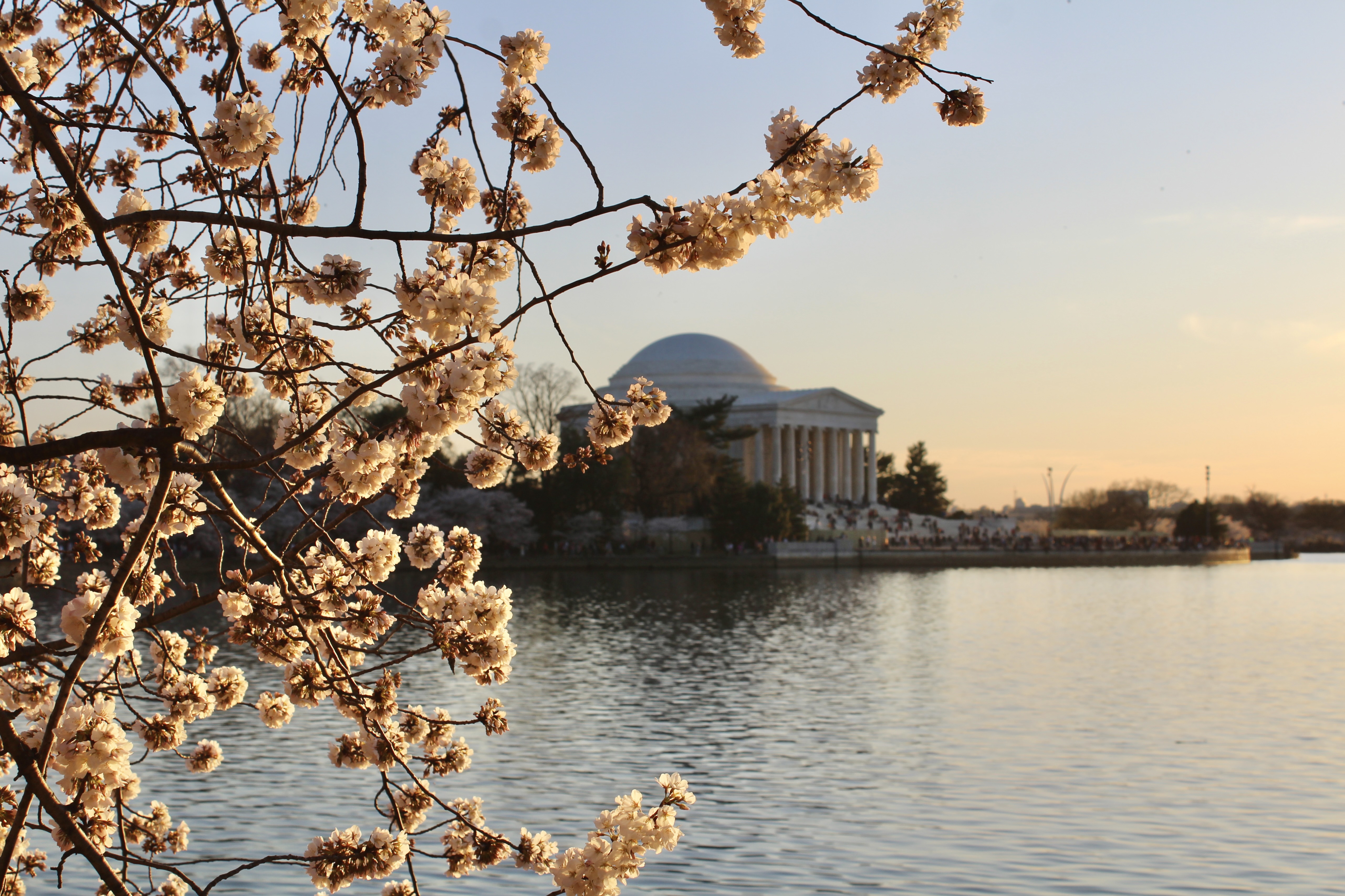 Presidential Faculty Fellows Program | UCDC